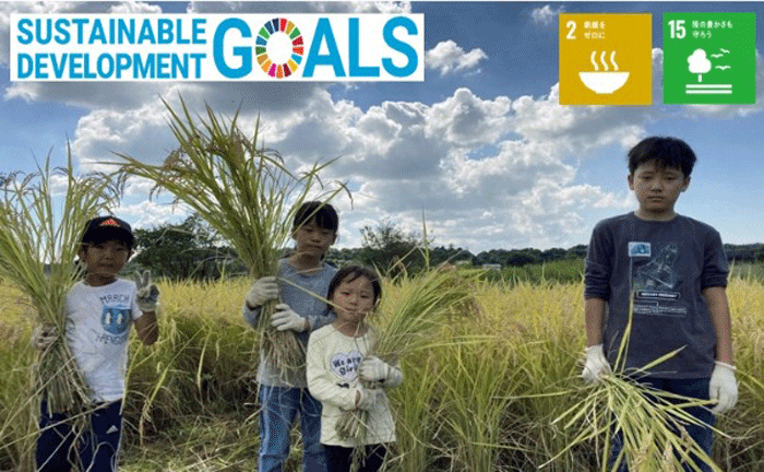 SBSゼンツウ／SDGsの一環で田んぼの学習会「稲刈り体験」 ─ 物流ニュースのLNEWS