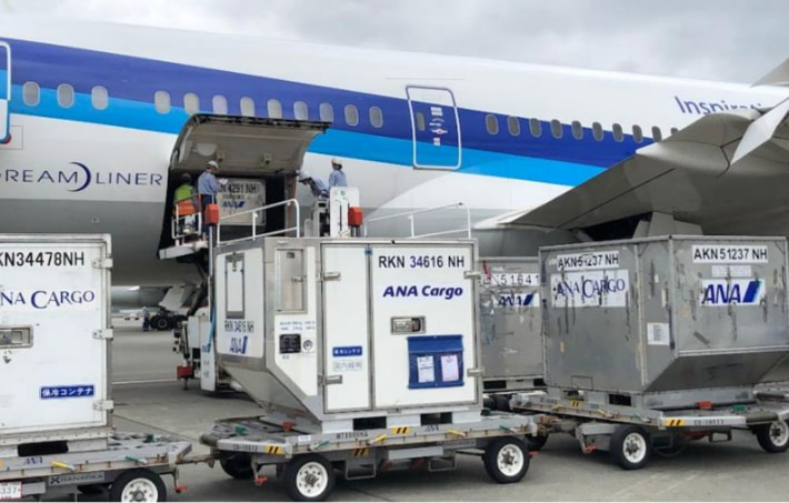 ANA／昼間帯限定の国内貨物運賃「コンテナバリュー運賃」を新設 ─ 物流ニュースのLNEWS